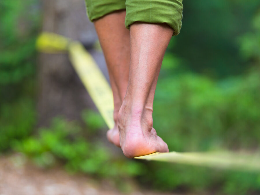 Anatomy & Physiology – Homeostasis - MBLEx Guide