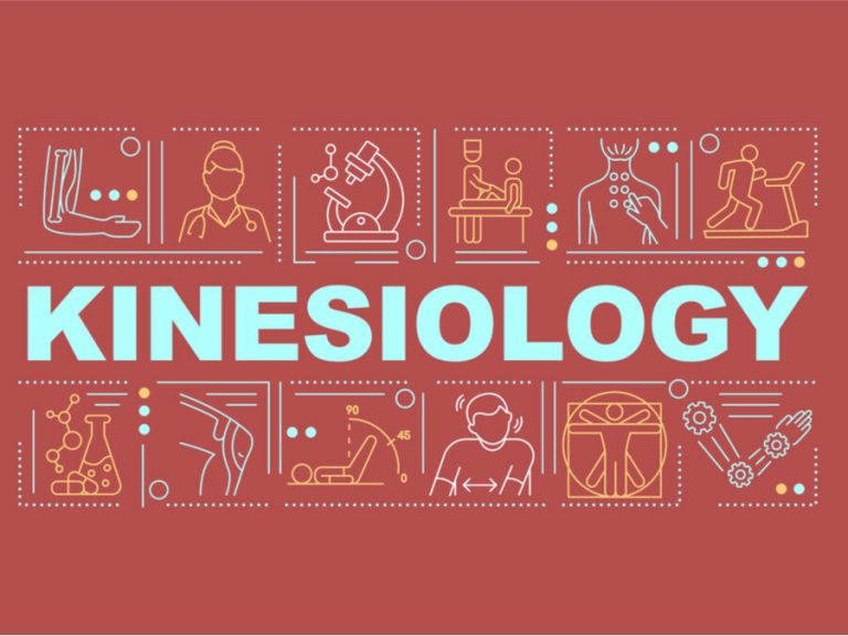 Kinesiology – Fundamentals - MBLEx Guide